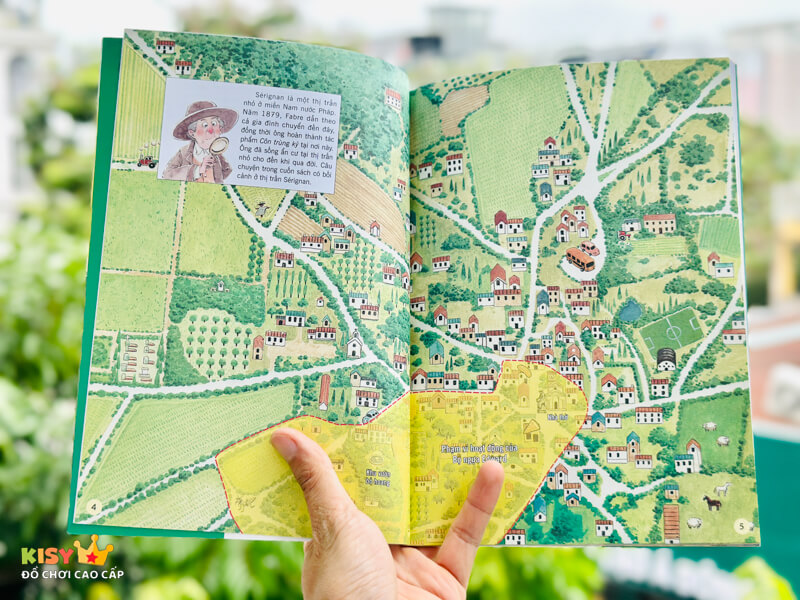 Bộ sách Truyện tranh khoa học về các loài côn trùng BỘ 4Q – Kisybook Cửa Hàng Sách và Đồ Chơi ...